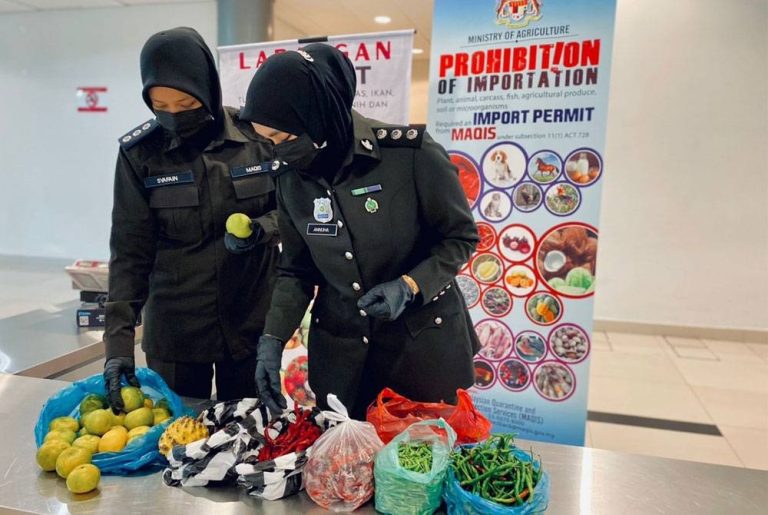 Apa Itu Jabatan Perkhidmatan Kuarantin dan Pemeriksaan Malaysia (MAQIS ...
